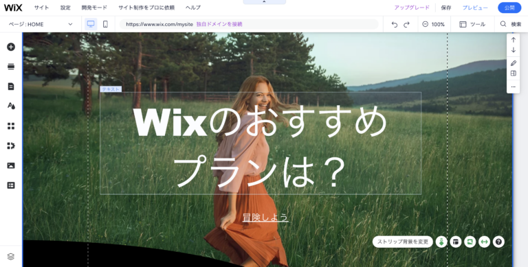 【2025年9月最新版】Wix有料プランの料金や機能などを徹底比較解説 - 日本 Wix 挑戦所